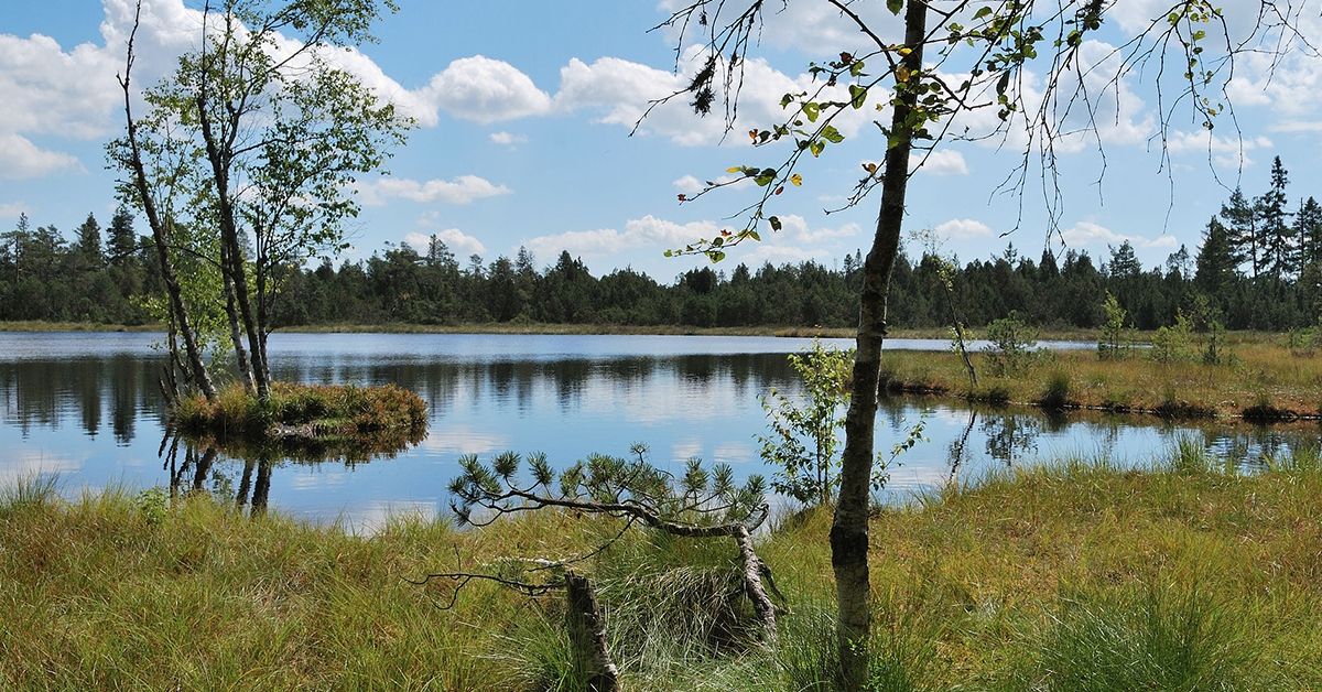 Wandertipp: 42 Kilometer durch den Nordschwarzwald