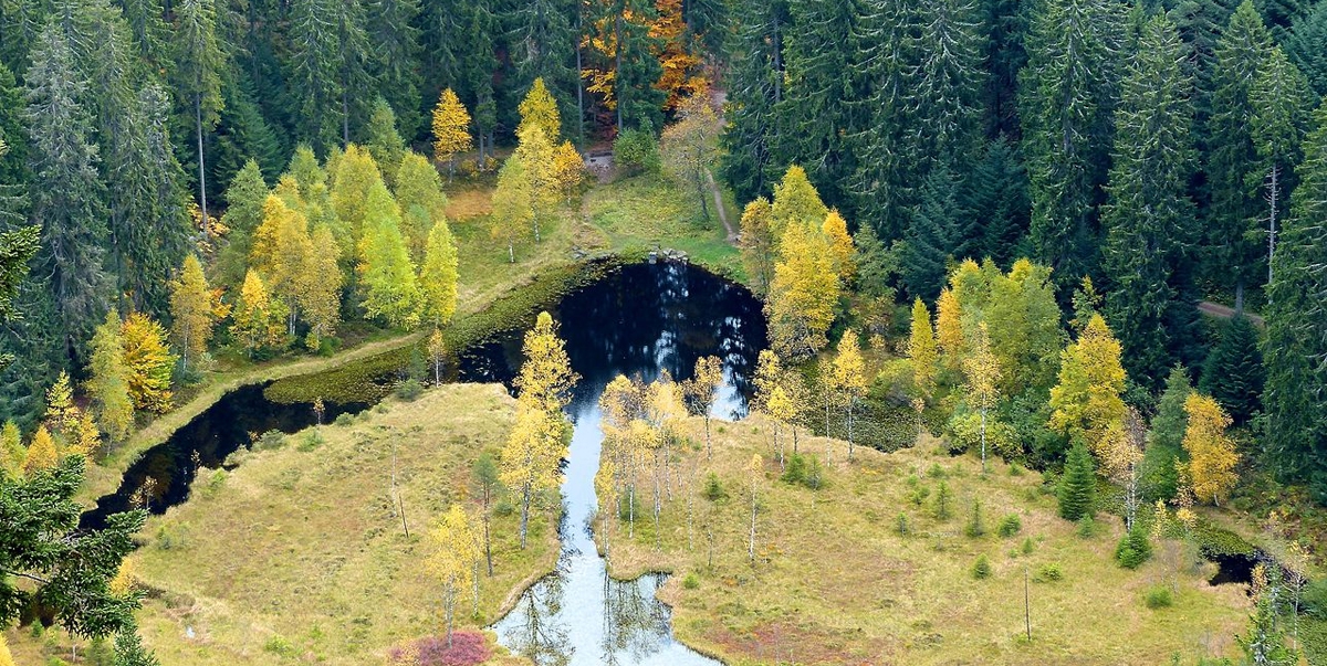 Ellbachsee: Spektakulärer Blick, idyllischer See