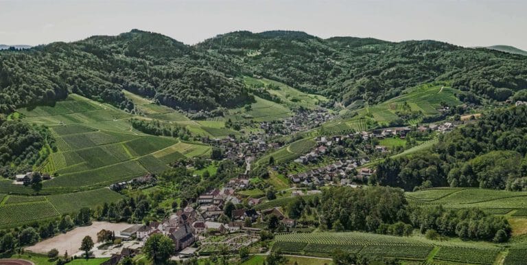 Waldulm - Rotweindorf im Herzen Badens