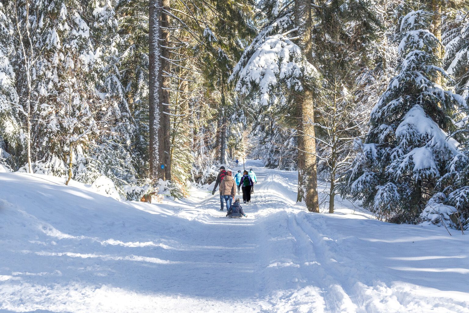 Winterwanderung: Freudenstadt: . . .mitten durch den weißen Winterwald