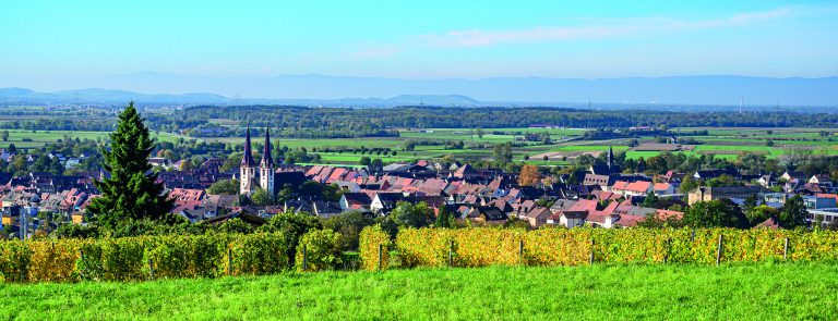 Städtetipp: Kenzingen – Perle des Breisgaus