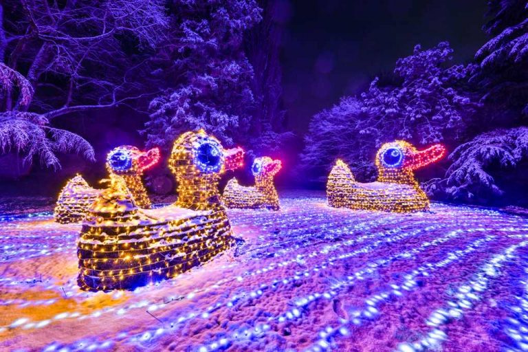 Funkelnde Weihnachtswunderwelt am See: Christmas Garden auf der Insel ...