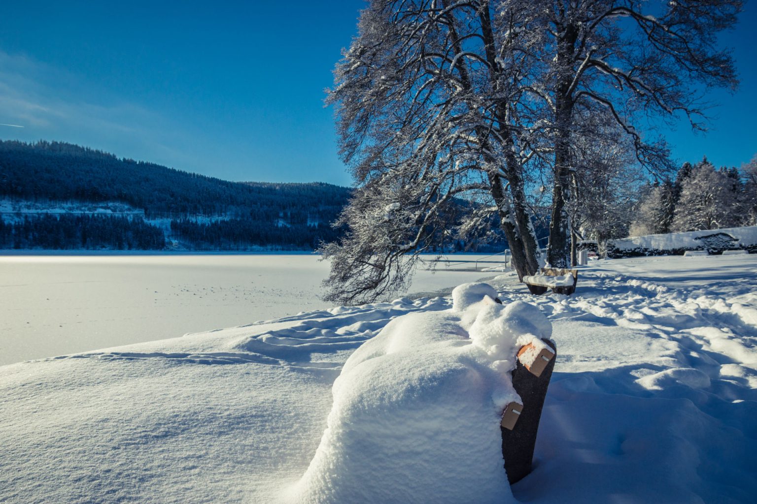 Winterwandern: Zum Titisee, Schluchsee oder Hüsli? 3 Top-Touren im ...