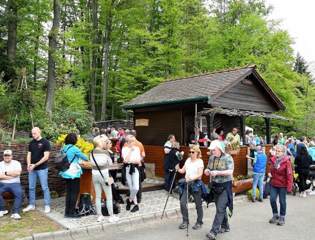 Ortenau: Weinwandertag Waldulm - wandern, genießen, feiern!