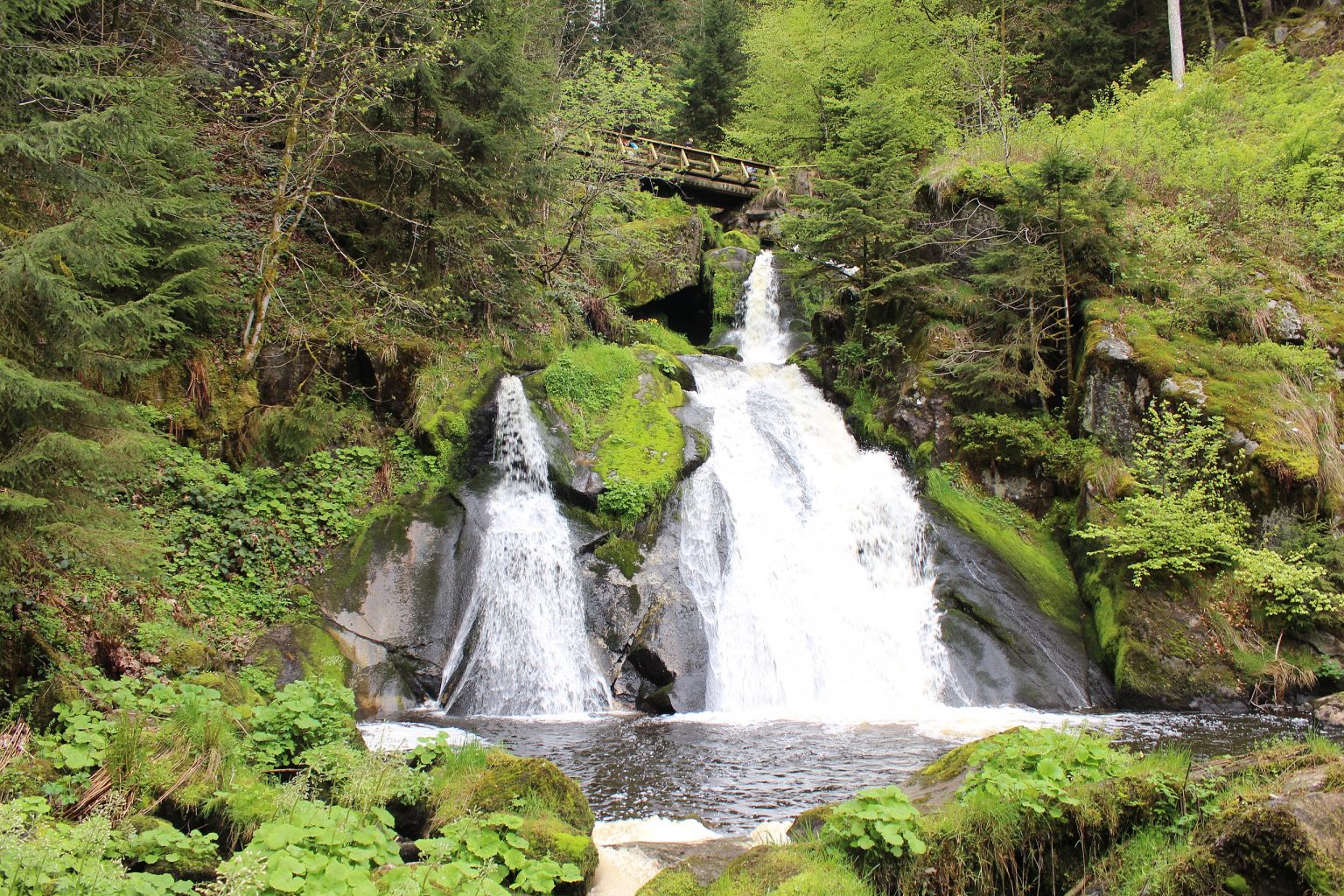Ranking / Die 7 schönsten Wasserfälle des Schwarzwalds – jeder für sich ...