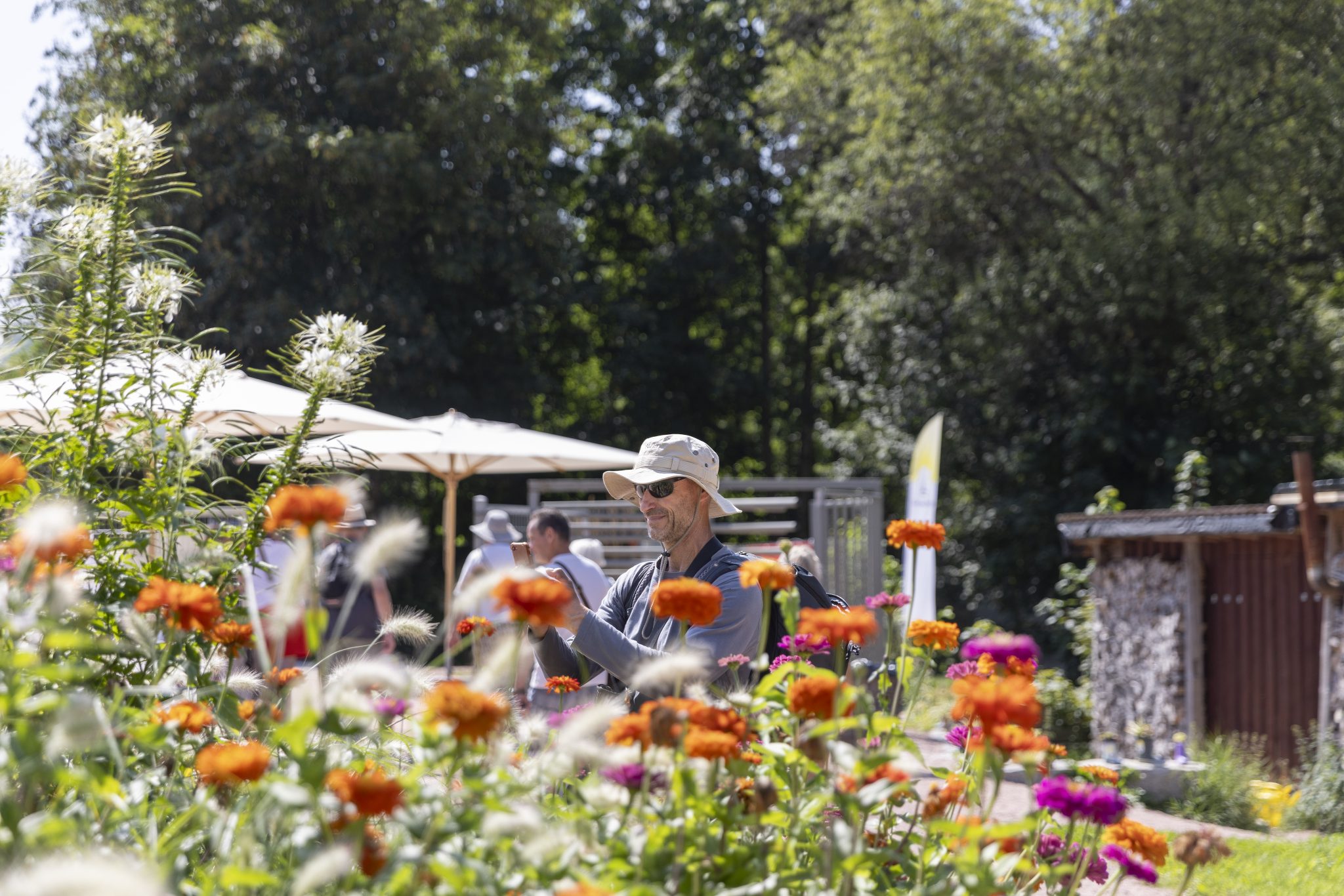 Zoo Karlsruhe: Beide Rote Panda-Babys entwickeln sich prächtig